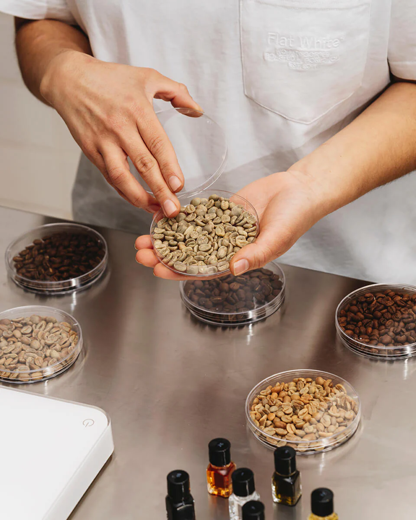 Back to school: learn about coffee and become a barista